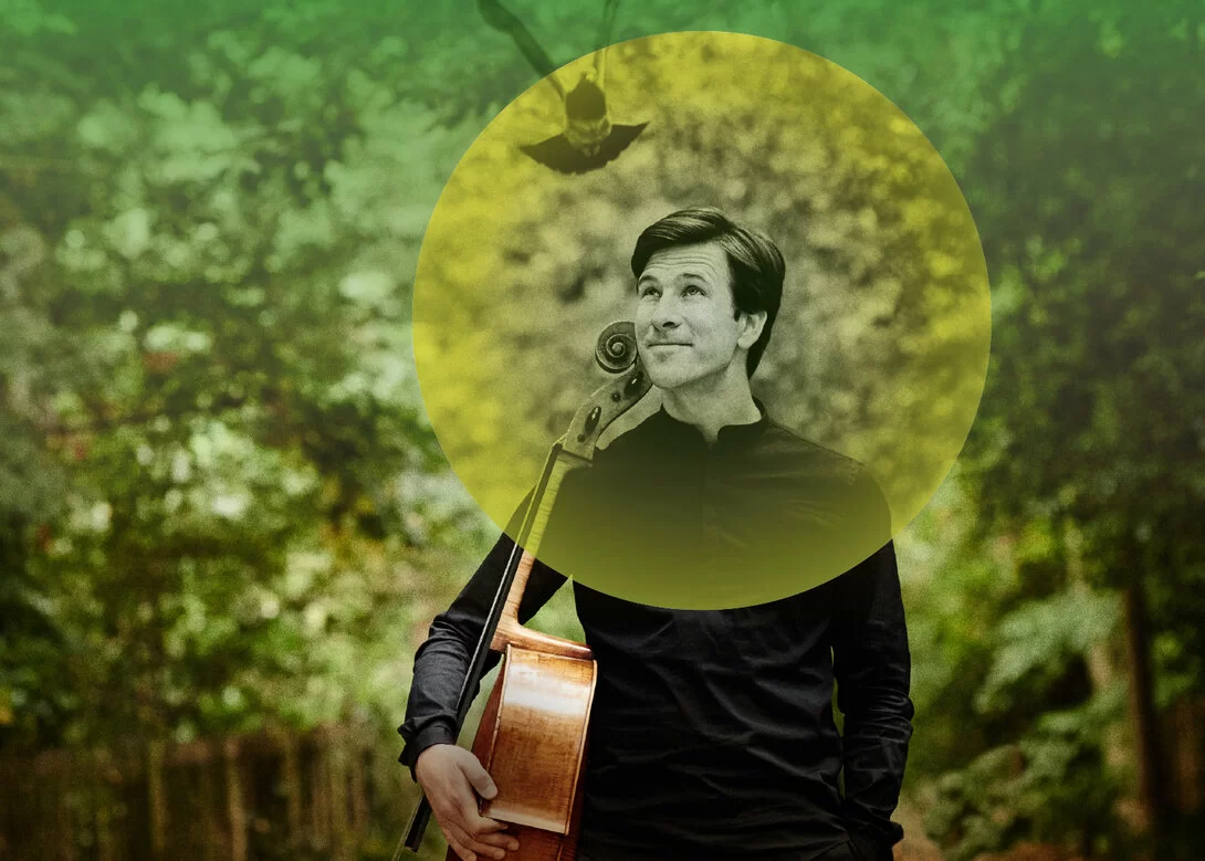 guy playing cello in tree