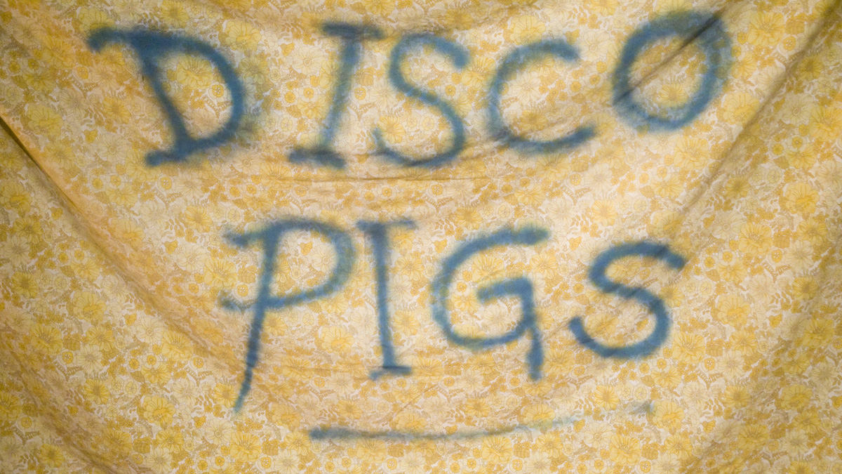 Disco Pigs - Press Release | Brighton Dome