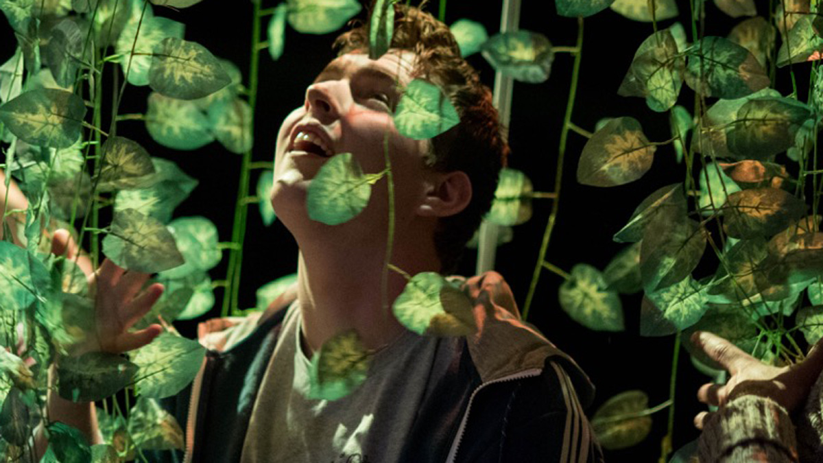 The Forest - Press Release | Brighton Dome